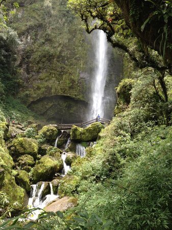 the shock of clean water – The Dynamics of Groove